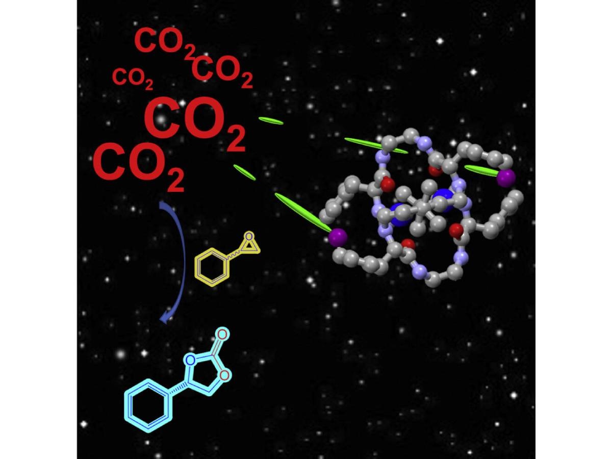 Sustainable Catalyst Can Upcycle CO2 into Industrial Chemicals ...