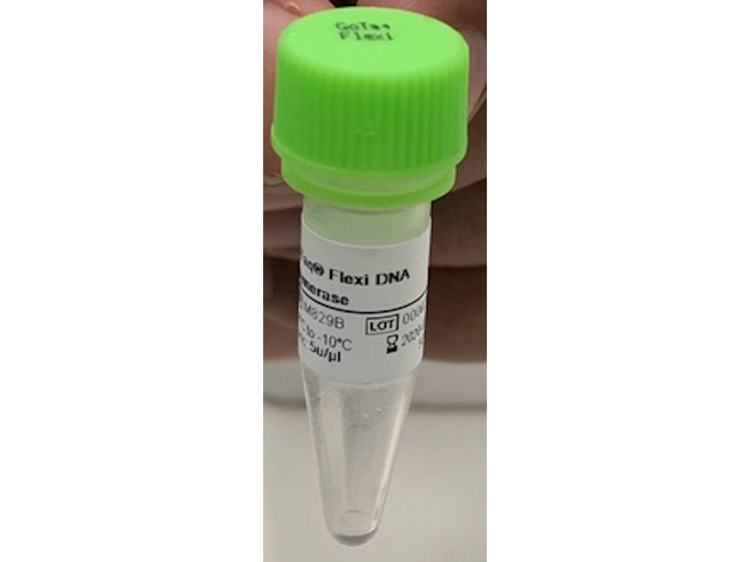 | Labcompare Product Review. Proofreading Polymerase Enzyme ...