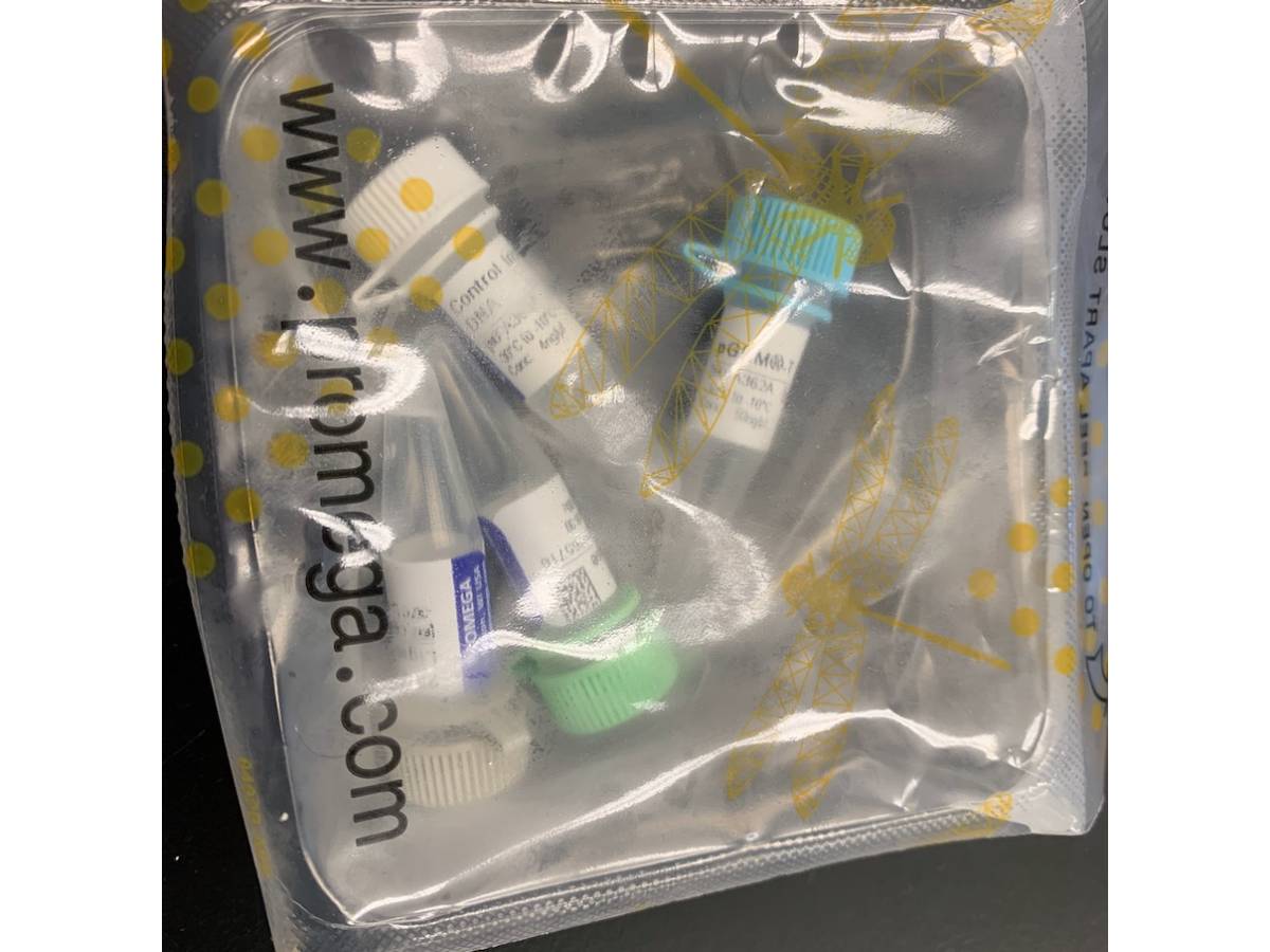 | Labcompare Product Review. Easy to Use Cloning Kit | Labcompare.com