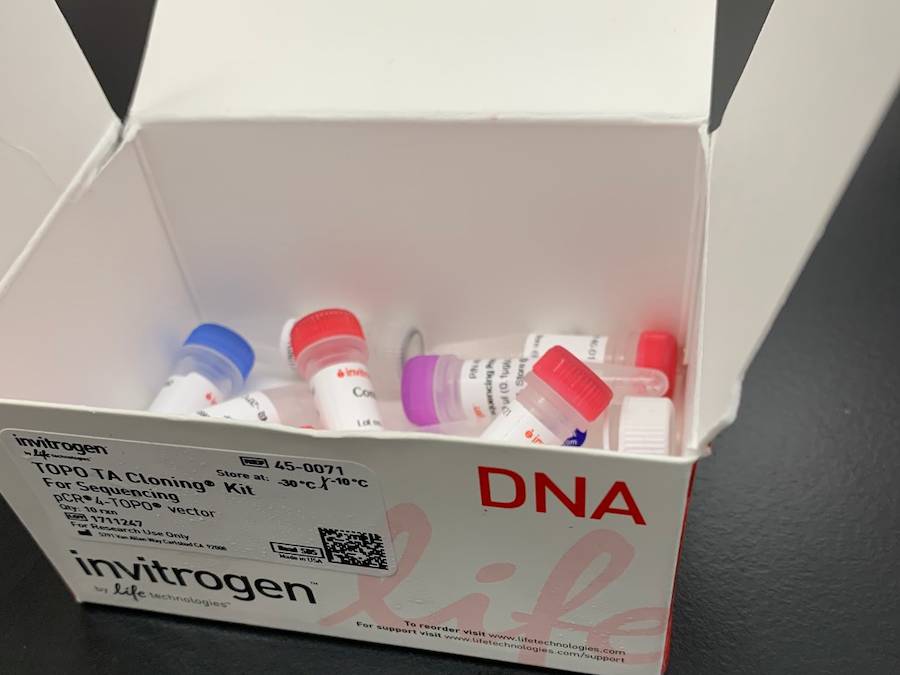 | Labcompare Product Review. Amazing Cloning Kit for Sequencing ...