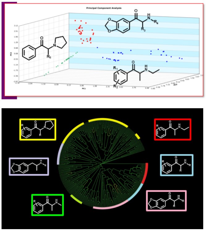 Exploring the Potential of DART-MS in the Characterization of Complex ...