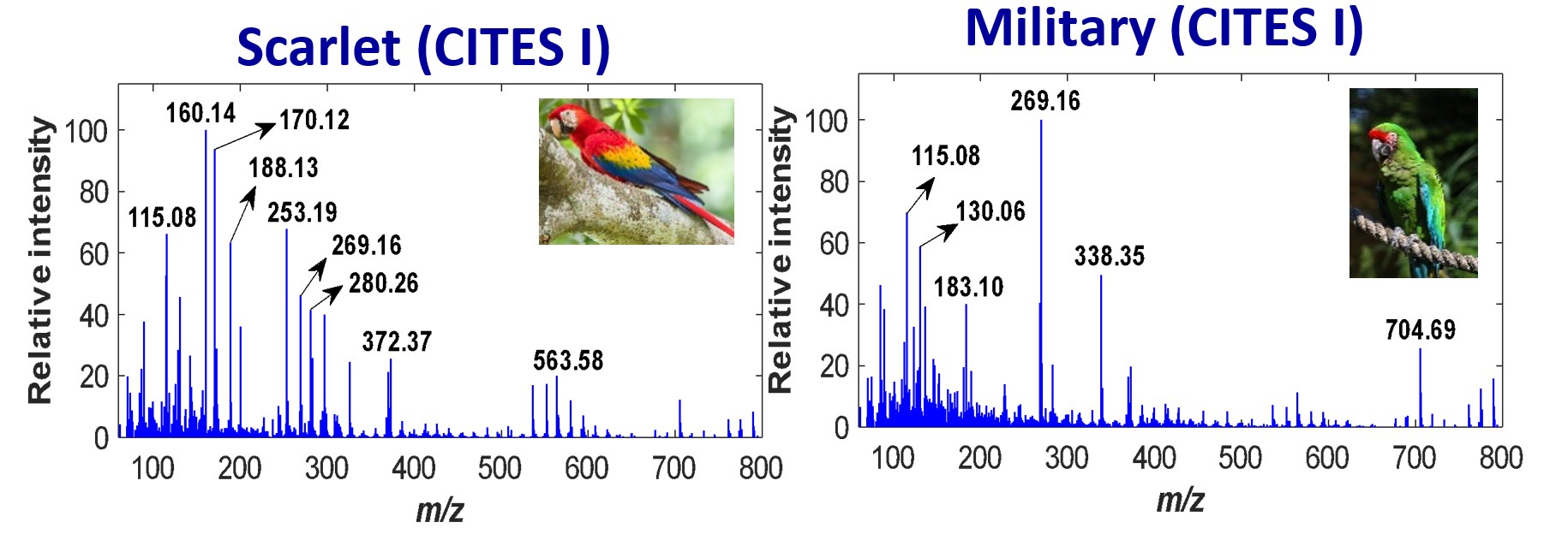 Exploring the Potential of DART-MS in the Characterization of Complex ...