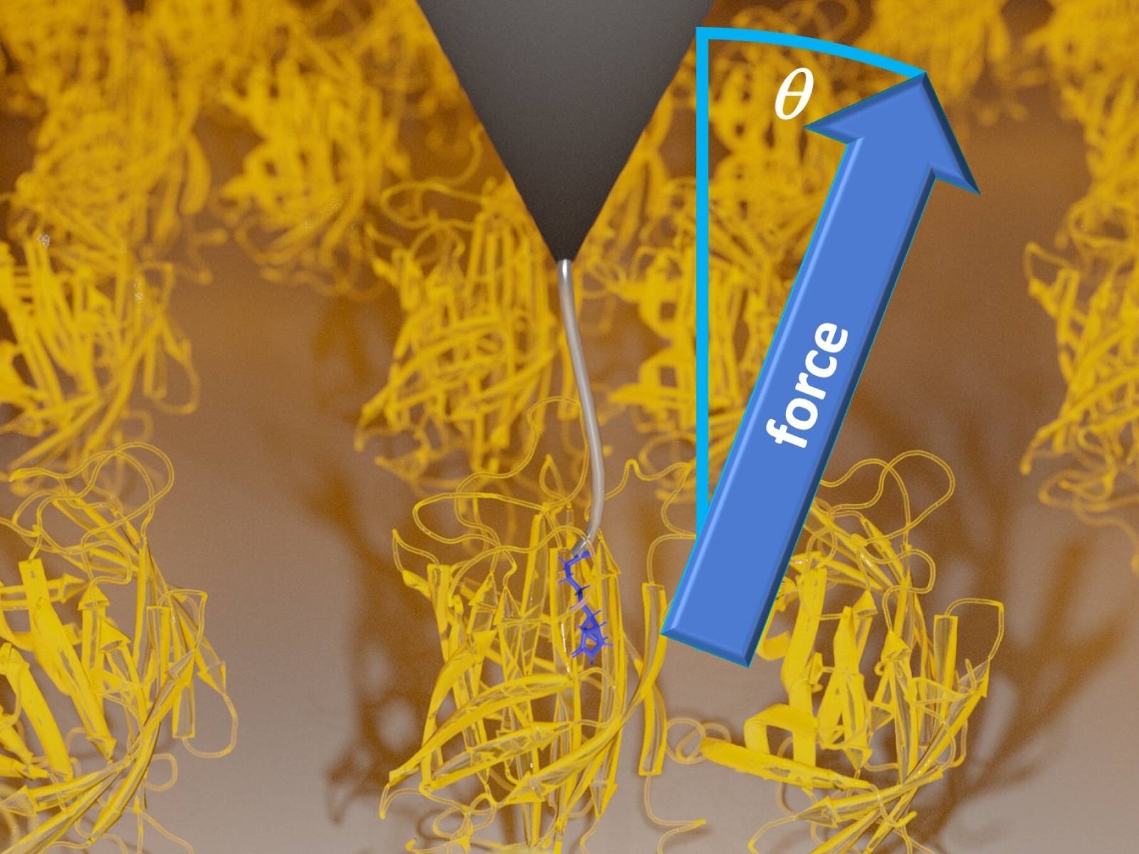 Researchers Discover New Form of Molecular Friction in Proteins ...