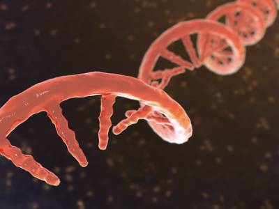 Harvard, MIT Researchers Track Movement of RNA within Single Cells ...