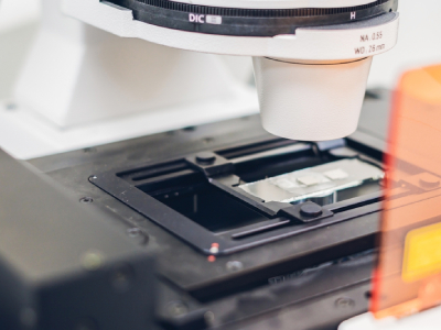 Novel Protein Analysis Technique Utilizing Raman Spectroscopy ...
