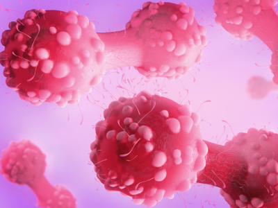Researchers Discover Genes Responsible for Treatment-Resistant Cancers ...