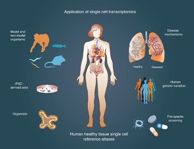 Overcoming Common Challenges in Sample Viability for Single-Cell ...