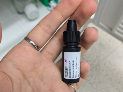 | Labcompare Product Review. Highly Recommended Compensation Beads ...