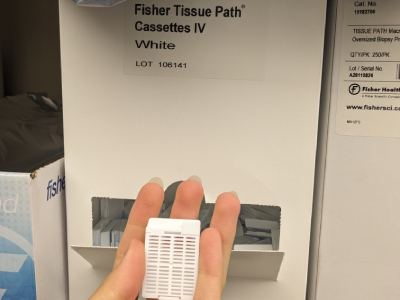 | Labcompare Product Review. Easy to Use Tissue Cassettes | Labcompare.com