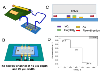 Microfluidic pH Sensor Developed for Small Volume Detection ...