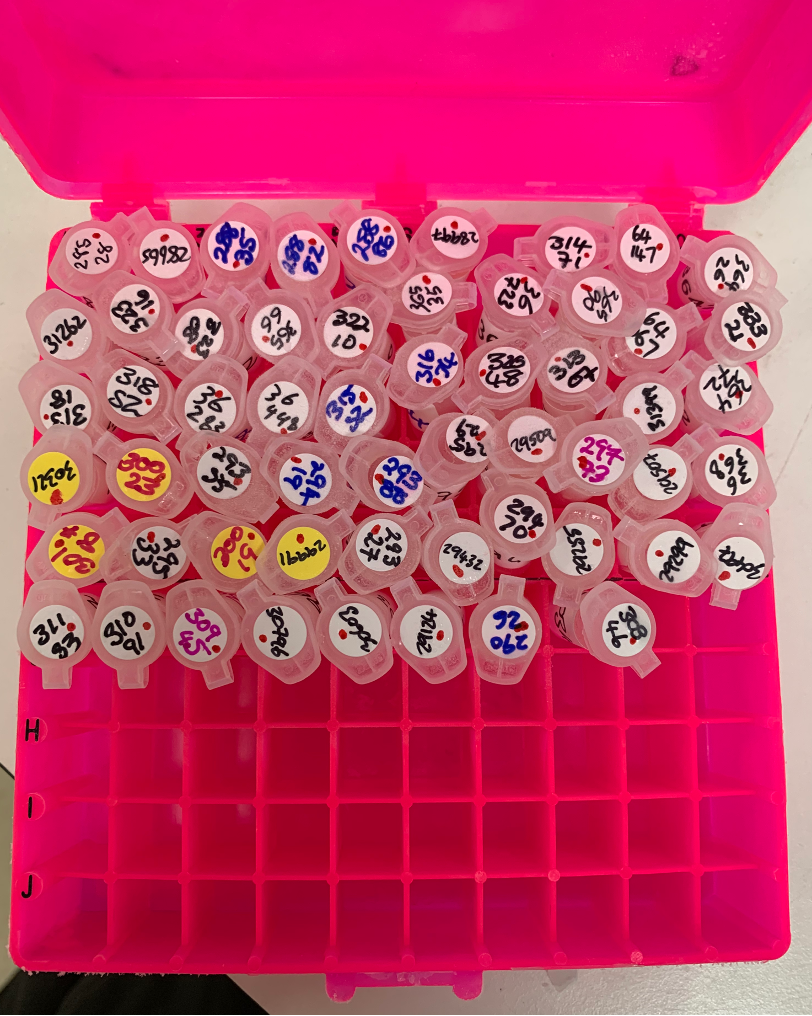 | Labcompare Product Review. 100 Place Freezer Storage Boxes with ...