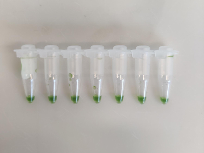 | Labcompare Product Review. Efficient PCR Tubes | Labcompare.com