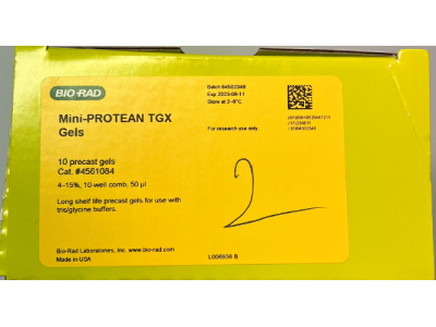 | Labcompare Product Review. Mini-PROTEAN TGX Gels | Labcompare.com