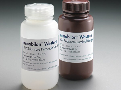 | Labcompare Product Review. ECL Substrate Kit | Labcompare.com