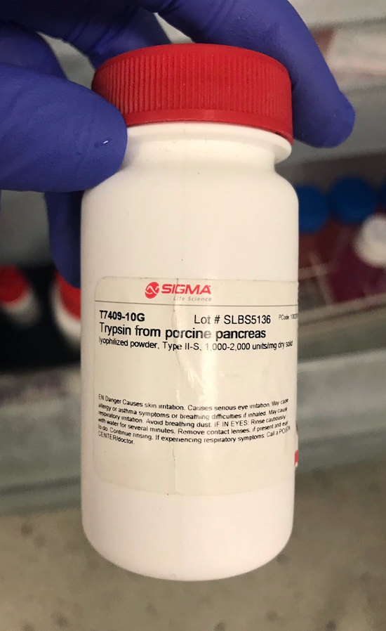 | Labcompare Product Review. Lyophilised Trypsin for adherent cells ...