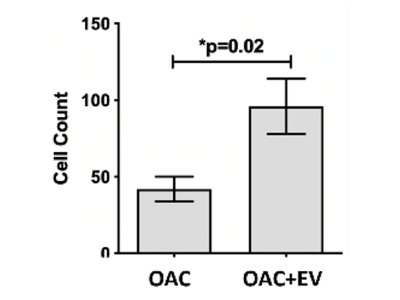 | Labcompare Product Review. Using Fibronectin to Coat Transwell ...
