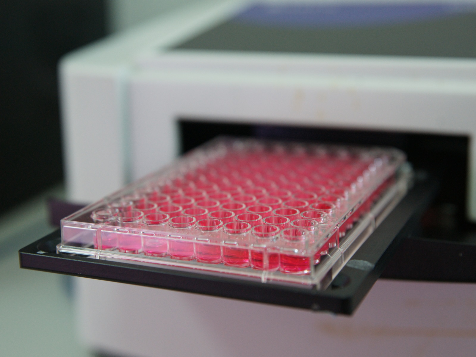 How to Get the Best Out of Your Microplate Reader | Labcompare