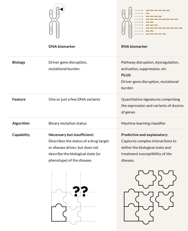 3 Reasons Why RNA Is the Future of Predictive Biomarkers in Oncology ...