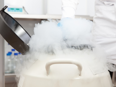 New Research Demonstrates Antifreeze Protein Efficacy For Organ ...