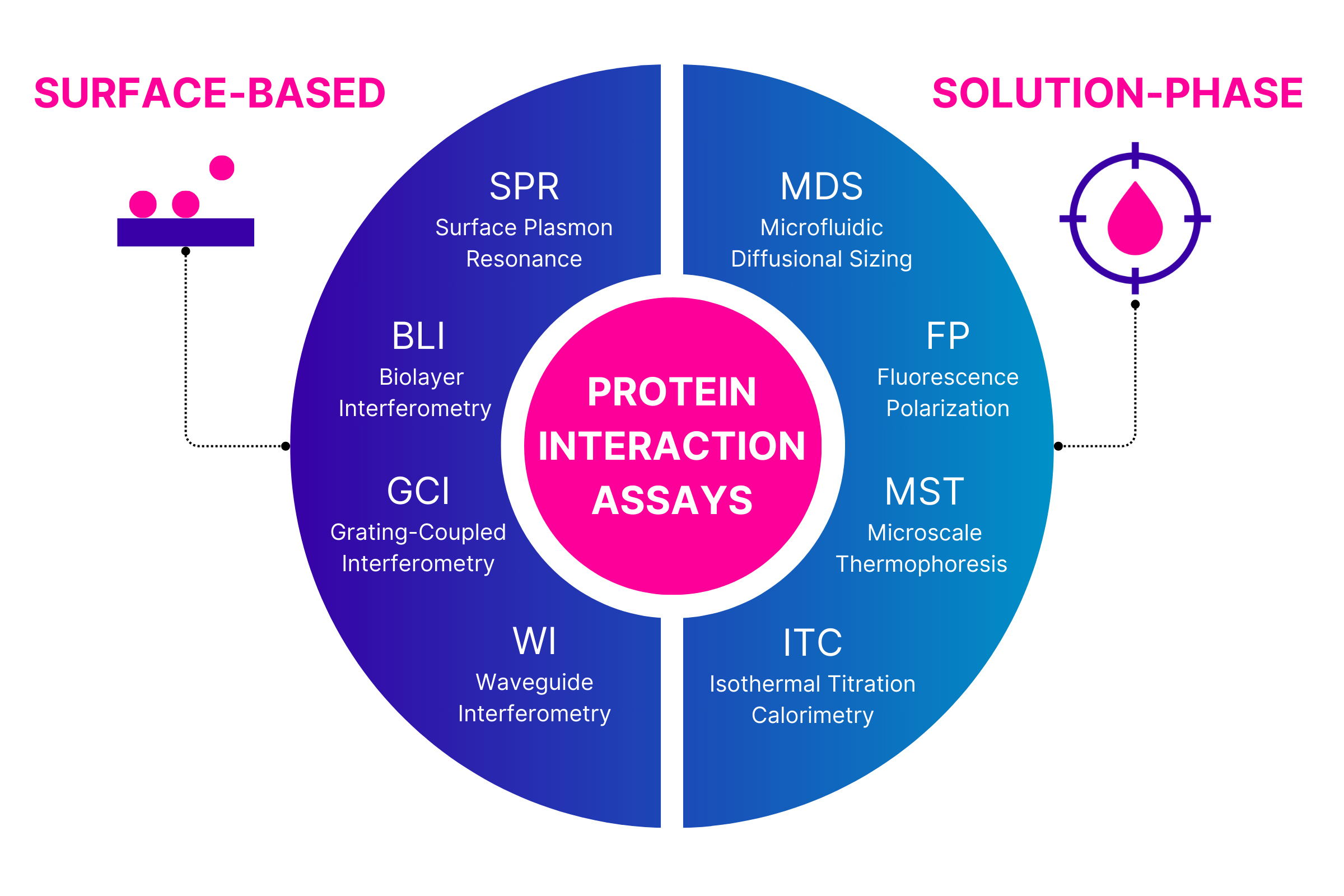 Protein Interaction Assays: Why Working In Solution Can Be The Solution ...