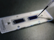 Cell Culture Quality Control During T Cell Expansion | Labcompare.com