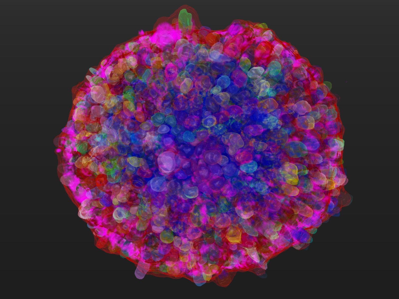 Automating Neural Organoid Development and Analysis | Labcompare.com