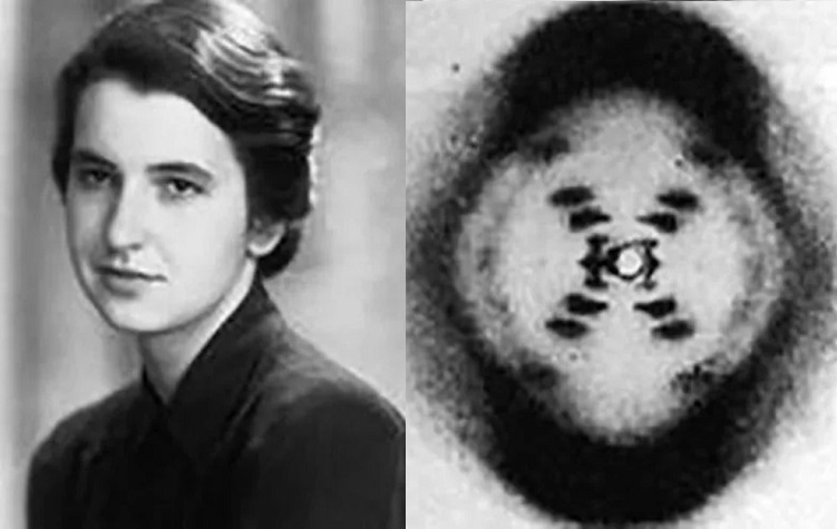 Women in Science: Newly Discovered Article Shows Rosalind Franklin was ...