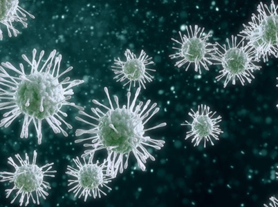 Sweat Molecule Exhibits High Antiviral Activity Against the Flu ...