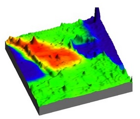AFM Probes | Labcompare.com