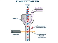 Flow Cytometer | Labcompare.com