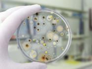 Water Activity Meters | Labcompare.com