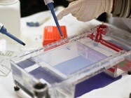 Gel Electrophoresis Instrument | Labcompare.com