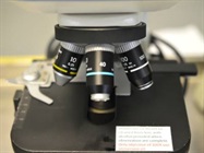 Microscope Stages | Labcompare.com
