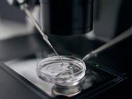 Digital Microinjection System (Microinjector) | Labcompare