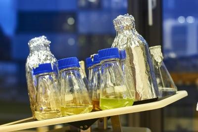 Laboratory Shakers and Mixers