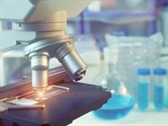 Microscope Illumination System | Labcompare.com