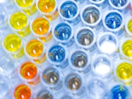 Microplate Reader / Microtiter Plate Reader | Labcompare.com