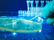 Automated Cell Counter | Labcompare.com