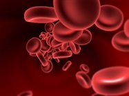 Hematology Instruments