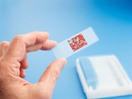Slide Stainer | Labcompare.com