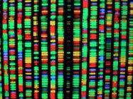 Automated DNA Sequencer / DNA Sequencing System | Labcompare