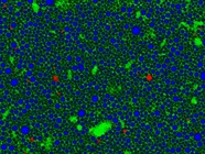 Raman Microscope / Confocal Raman Microscopes | Labcompare