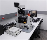 Inverted Microscopes | Labcompare.com
