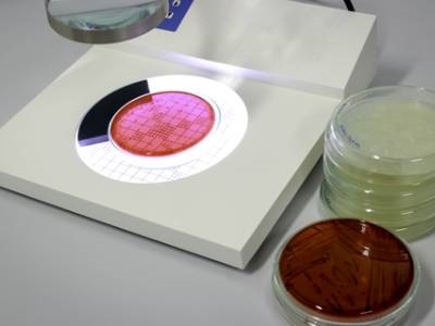 Cell Counters / Colony Counters | Labcompare.com