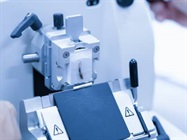 Pathology Saw / Laboratory Bone Saw | Labcompare.com