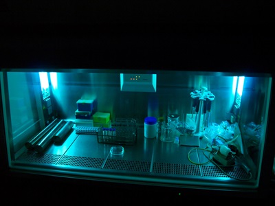 Step Toward Deep UV Light Source for Sterilization, Disinfection ...