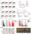 Microplate Reader / Microtiter Plate Reader | Labcompare.com