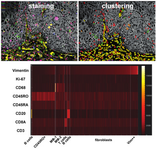 MACSima™ Platform from Miltenyi Biotec | Labcompare.com