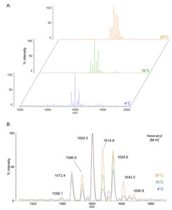 Axima Confidence MALDI TOF Mass Spectrometer from Shimadzu | Labcompare.com
