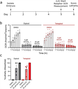 RESIPHER Real-time Cell Analyzer from Lucid Scientific | Labcompare.com